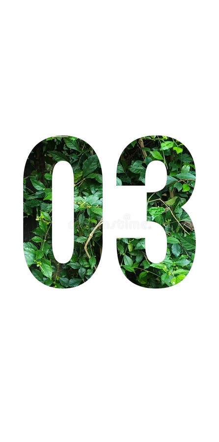 Design Number with Leaf Texture on White Background Stock Image - Image ...