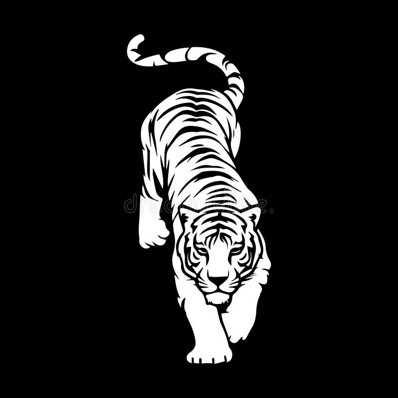 Moving Tiger Vector Art Illustration. Stock Illustration - Illustration ...