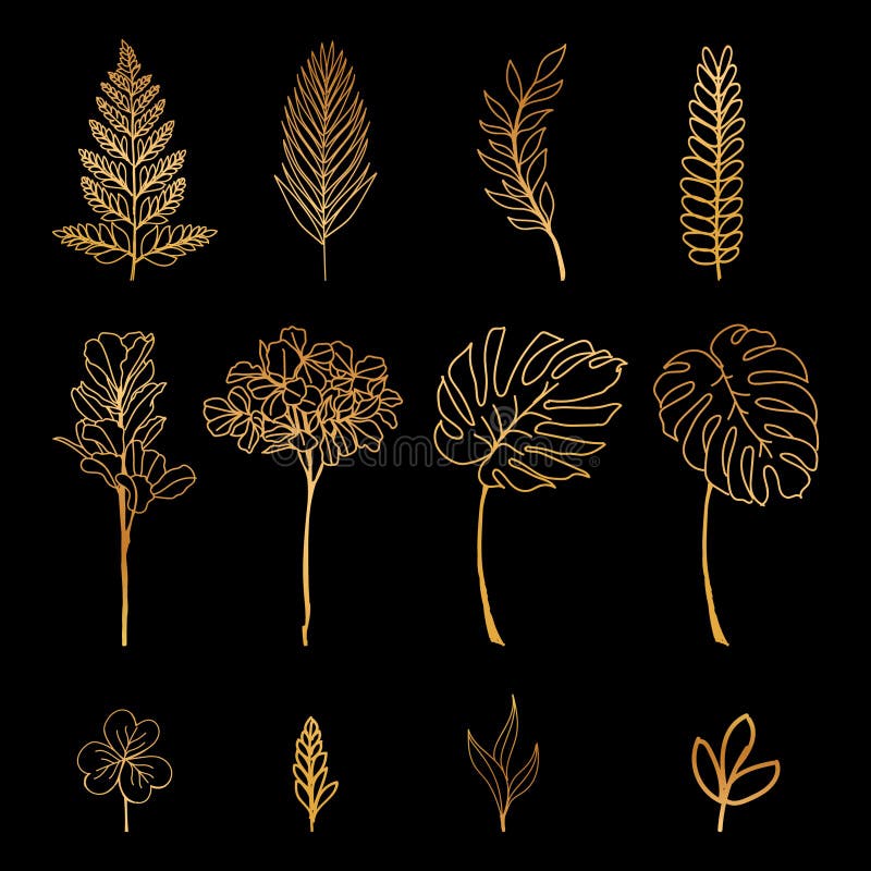 Botanical Lineart Gold Leaf Vector Illustration Set Stock Vector ...
