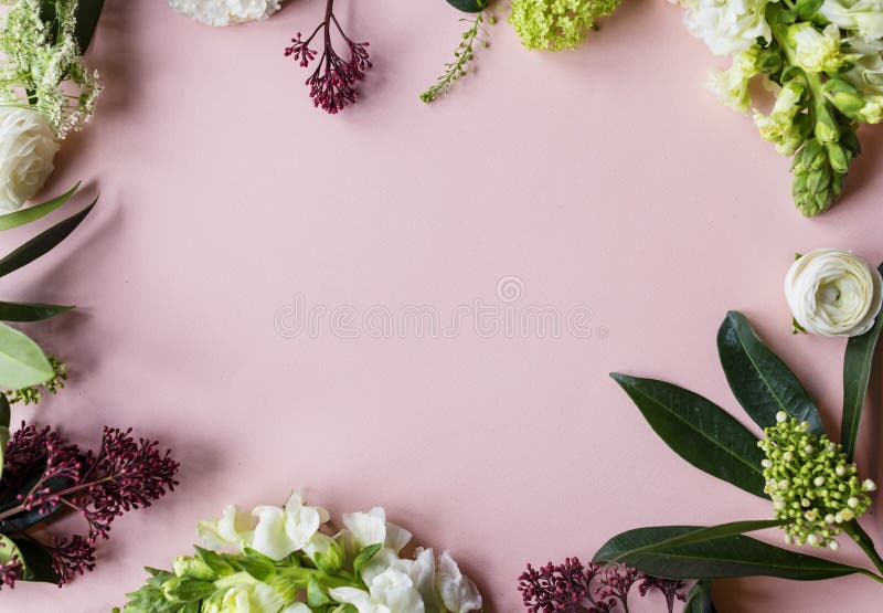Design Space with Floral Border Stock Image - Image of space, real ...
