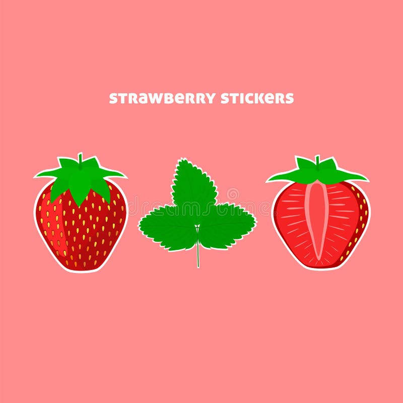 Design Stickers with Ripe Tasty Apricot. Stock Vector - Illustration of ...