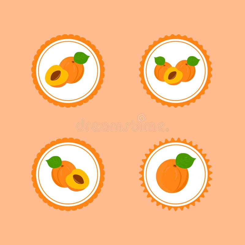 Design Stickers with Ripe Tasty Apricot. Stock Vector - Illustration of ...
