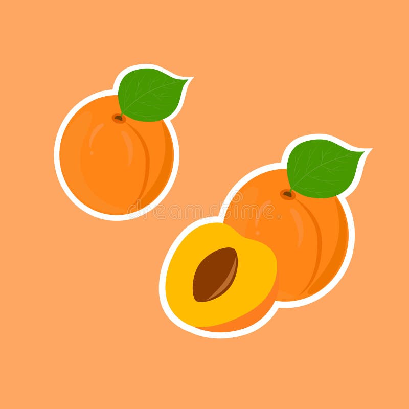 Design Stickers with Ripe Tasty Apricot. Stock Vector - Illustration of ...
