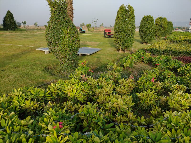 Disigntree Stock Photos - Free & Royalty-Free Stock Photos from Dreamstime