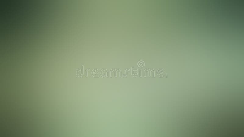 The Backdrop Was Imbued with a Subtle yet Captivating Interplay of Hues ...