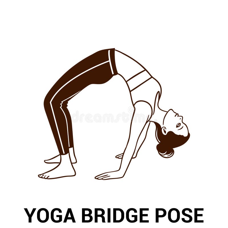 Yoga bridge pose vector stock vector. Illustration of bridge - 344876716