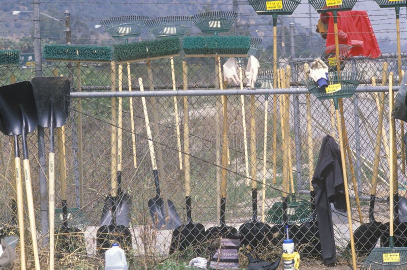 A Designated Tool Area for River Cleanup on Earth Day Editorial Photo ...