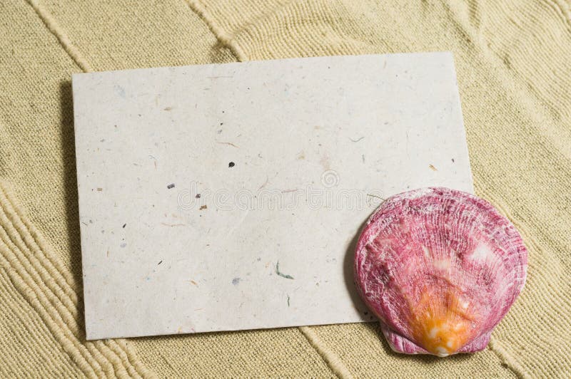 689 Empty Exoskeleton Stock Photos - Free & Royalty-Free Stock Photos ...