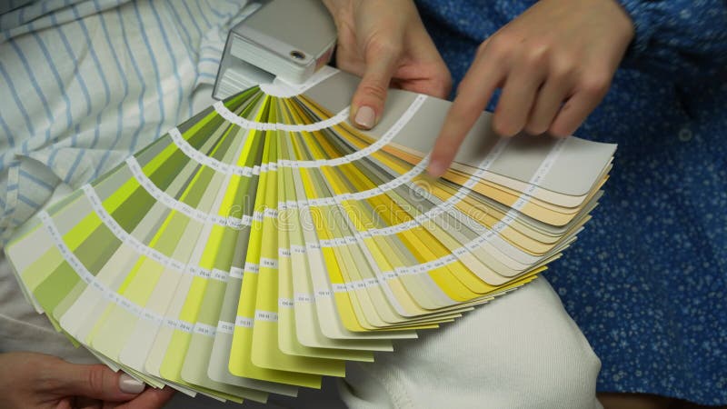 Designer and Client Chooses Shade from Color Palette. Concept of Color ...
