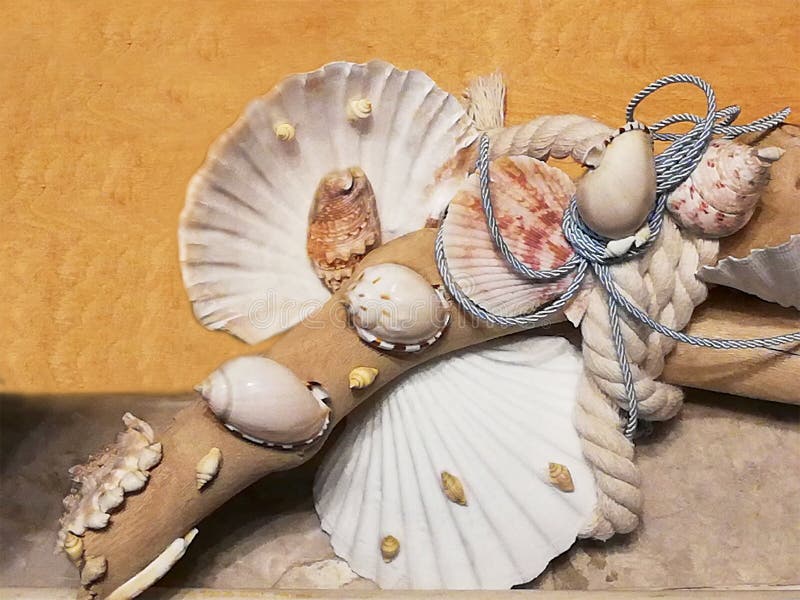 560 Greek Shells Stock Photos - Free & Royalty-Free Stock Photos from ...