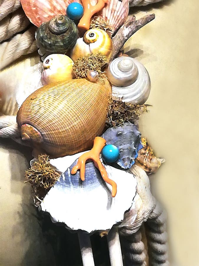 Designer Installation from Seashells Stock Photo - Image of seashells ...