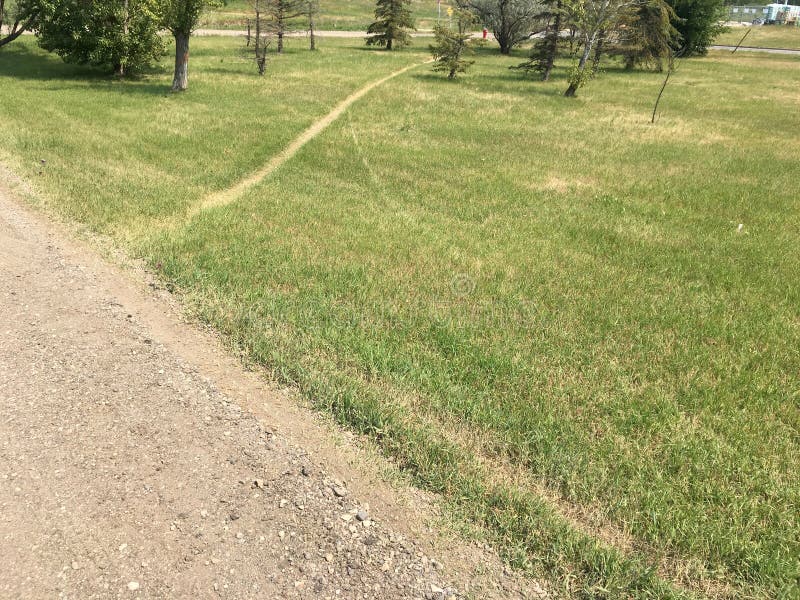 When Desire Paths Have Desire Paths Picture. Image: 96494372