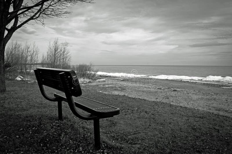 Desolate stock image. Image of bleak, season, black, gray - 28737039