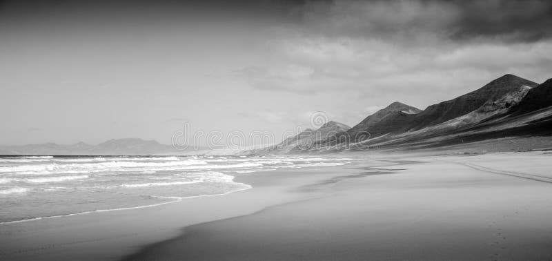 Desolate beach (b&w) stock photo. Image of ocean - 51002536