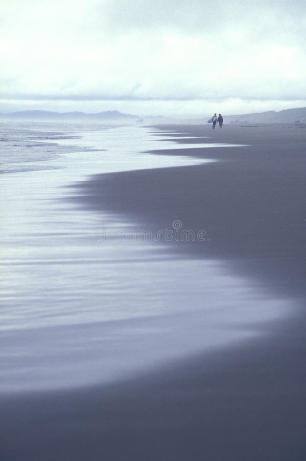 Desolate Beach Image stock photo. Image of vacation, nature - 1447214