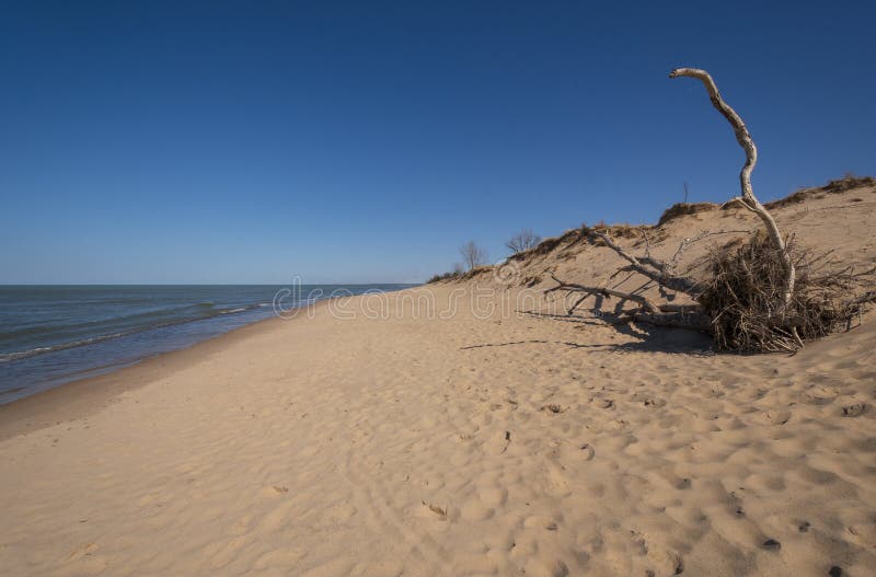 Desolate Beach on a Remote Lakeshore Stock Photo - Image of nature ...
