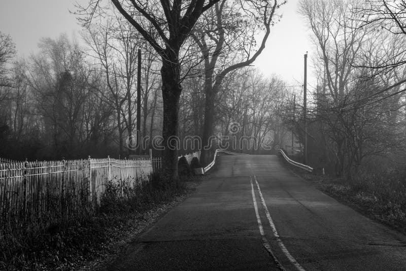 Desolate Country Road stock photo. Image of fence, forest - 109298606