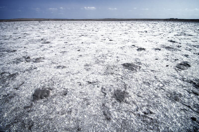 Desolate landscape stock photo. Image of copyspace, outside - 11749008