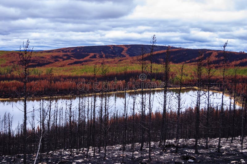 A Desolate Landscape with a Lake and a Forest Stock Image - Image of ...