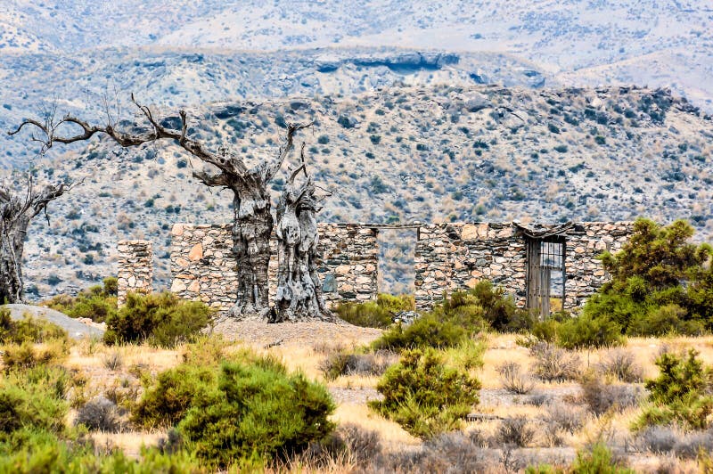Desolate Landscape Large Tree Small Building Stock Photos - Free ...