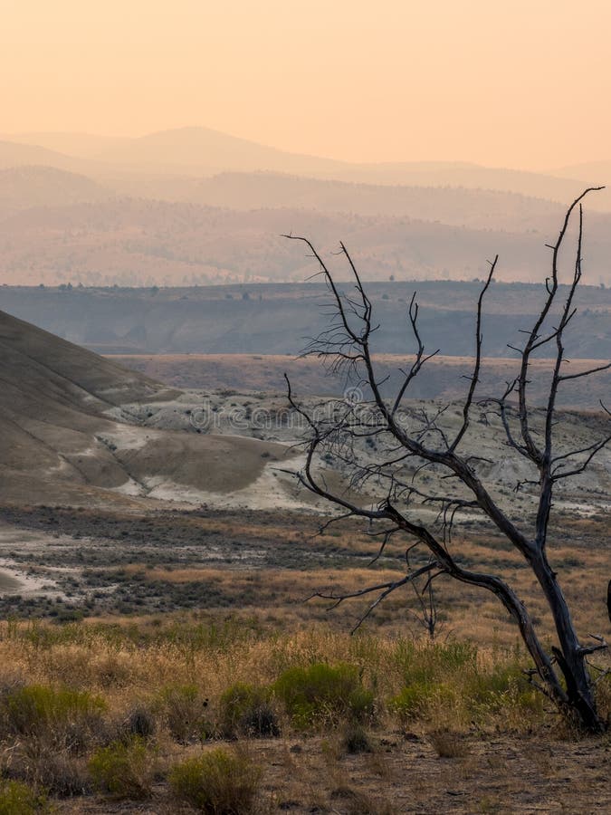 Desolate landscape stock image. Image of tree, painted - 101897309