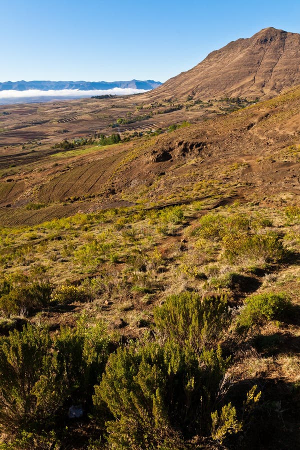 Desolate Mountain Landscape with Catus in Front Stock Photo - Image of ...