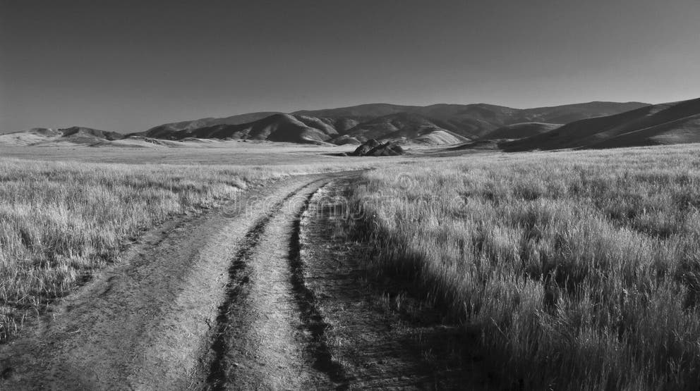 Desolate Road stock photo. Image of national, desert - 15092928