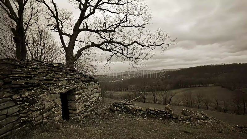 Desolate Stone Hut Under Bare Tree Overlooking Hilly Valley in ...