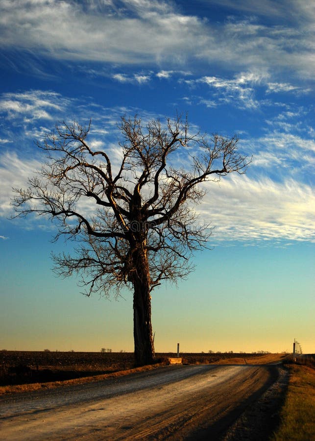 Desolate stock photo. Image of skies, states, environmental - 61535982
