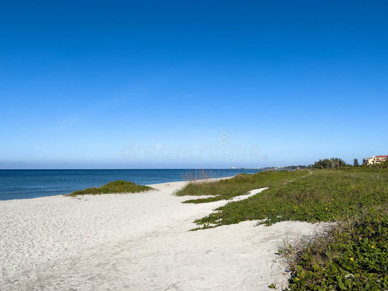 Desolate Turtle Beach on Florida`s Gulf Coast Stock Image - Image of ...