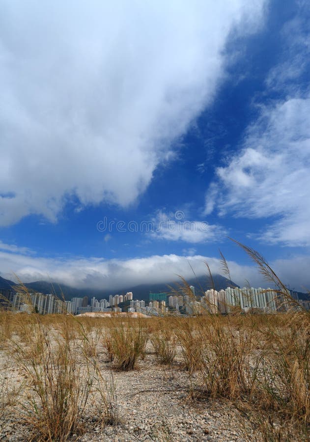 Desolated land stock image. Image of landscape, drought - 12707599