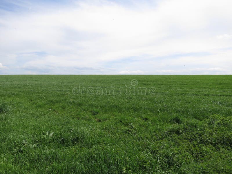 Desolated Meadow with Cloudy Sky Stock Photo - Image of horizon ...