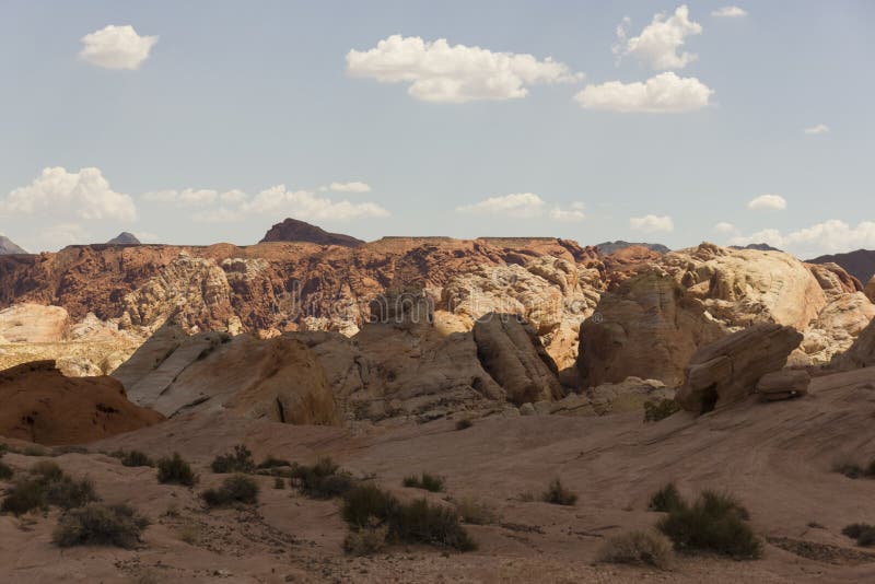 Desolation Texture stock photo. Image of scrub, texture - 83462330