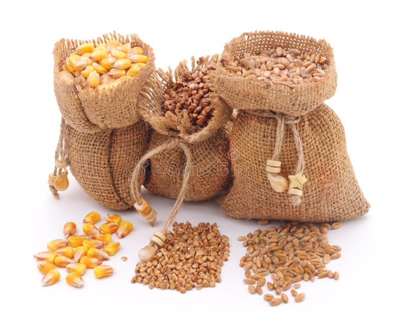 Grano en sacos imagen de archivo. Imagen de mercado, seco - 18294981