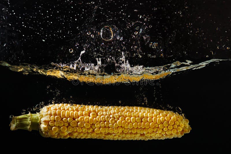 Corn Falling into the Water with a Splash Stock Image - Image of health ...