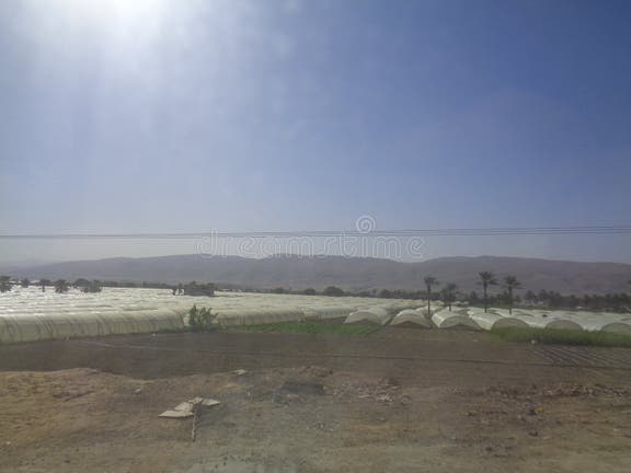 The Dessert in Jordan at Summer Stock Photo - Image of tree, river ...