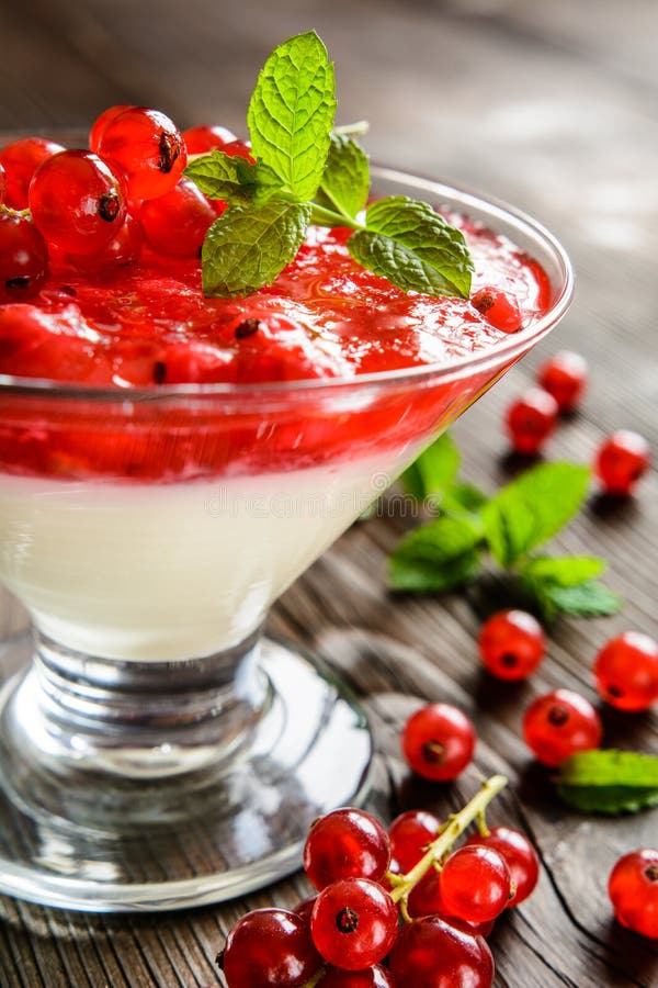 Dessert Panna Cotta with Red Currants Stock Photo - Image of dinner ...