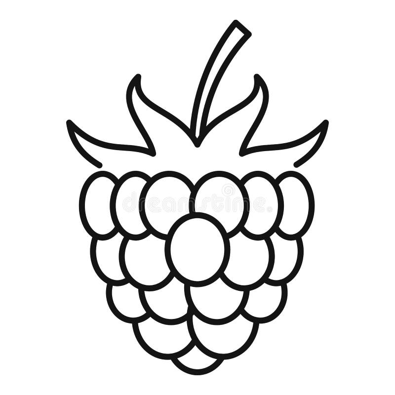 Outline Raspberry Stock Illustrations – 3,641 Outline Raspberry Stock ...