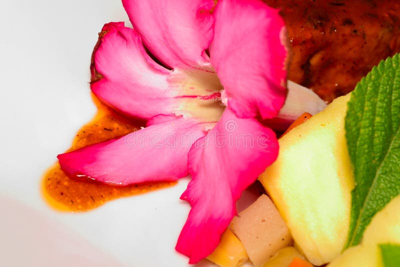 Dessert Rose Flower with Breadfruit Stock Photo - Image of barbadian ...