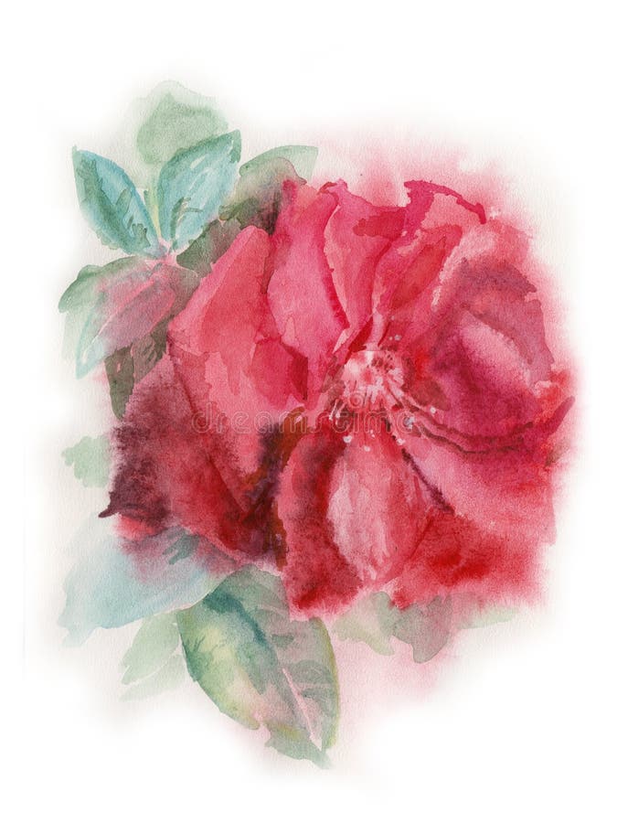 Dessin D'une Rose Rouge En Fleurs Illustration Stock - Illustration of ...