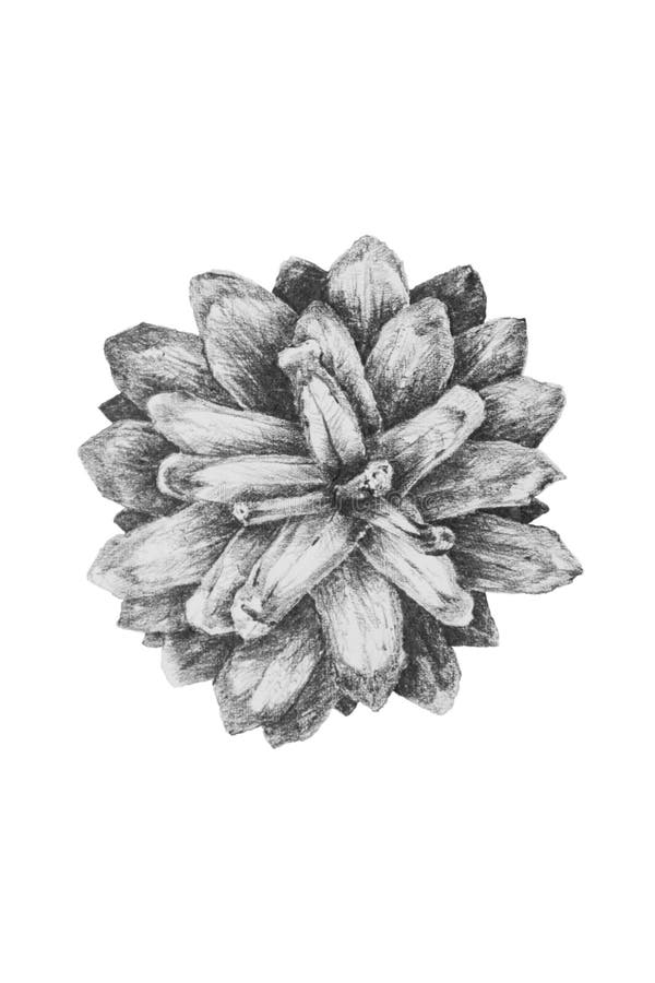 Dessin de cône impeccable illustration stock. Illustration du ...