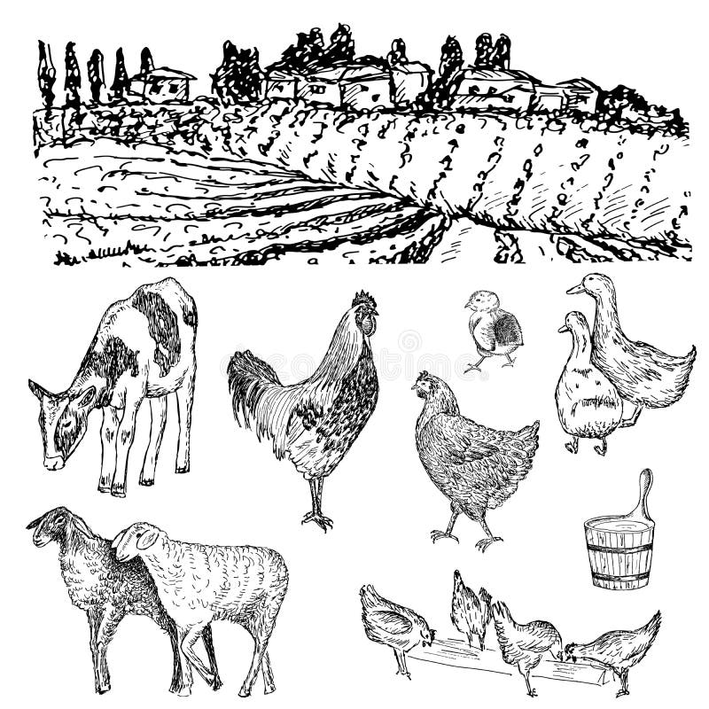 Dessin de mains de ferme illustration de vecteur. Illustration du ...