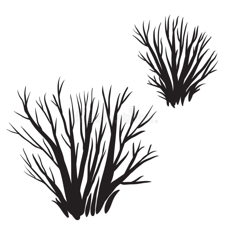 Dessin De Vecteur Du Buisson Illustration de Vecteur - Illustration du ...