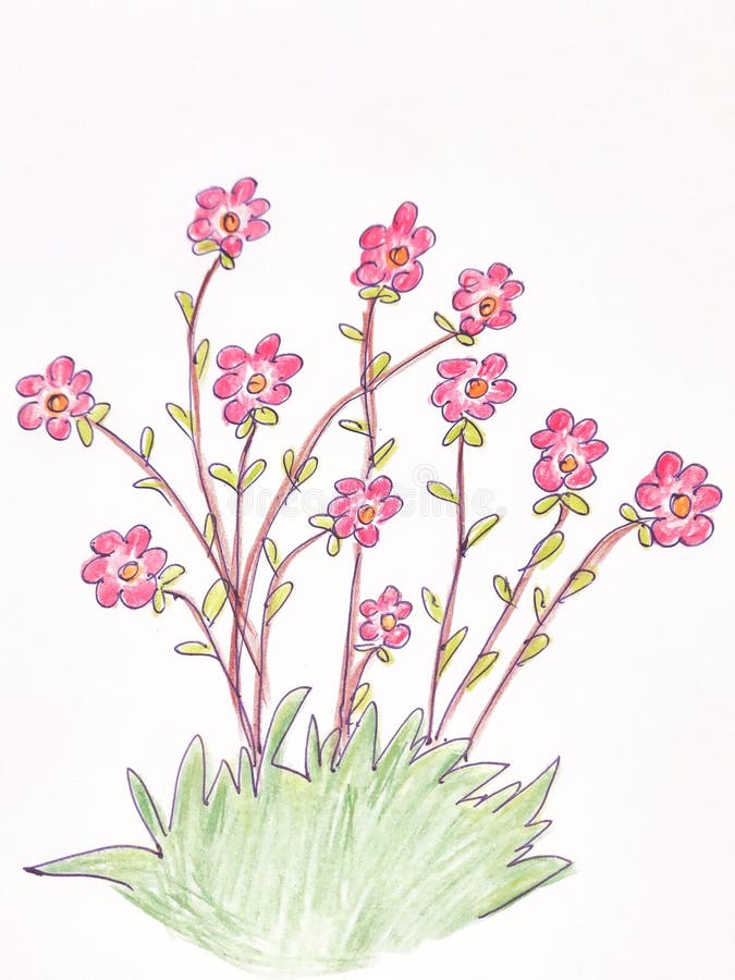 Dessin Fleur Rouge Sur Fond Blanc Illustration Stock - Illustration du ...