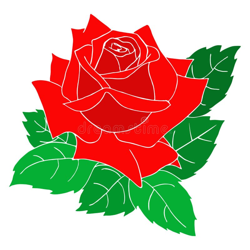 Dessin Rose Rouge Closeuse Design Couleur Graphiques Illustration Stock ...