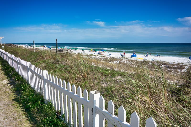 45,680 Nature Scenes Stock Photos - Free & Royalty-Free Stock Photos ...