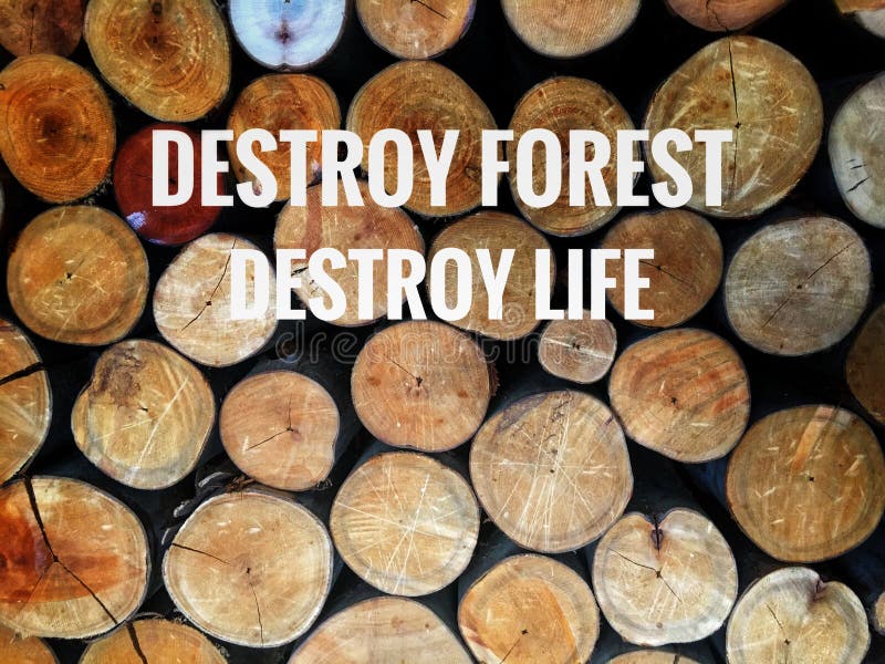 Destroy Forest Destroy Life Stock Photo - Image of concept, world ...