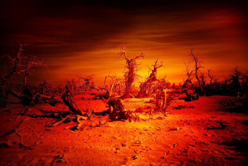 30+ Dead end forest Free Stock Photos - StockFreeImages