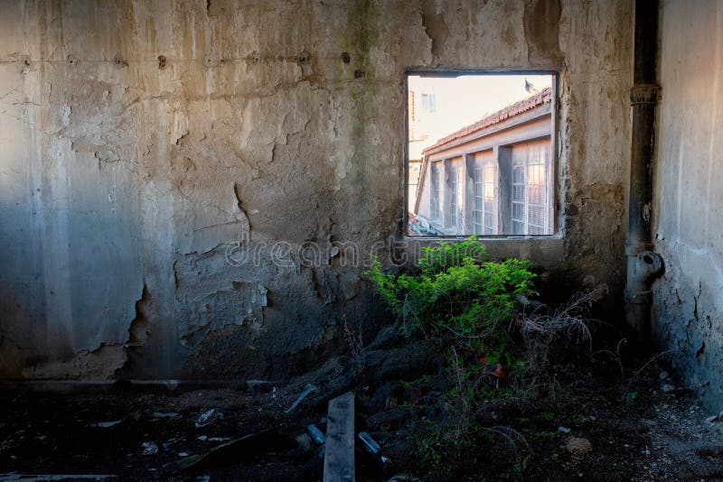 View from Inside the Abandoned Building. Stock Image - Image of ...