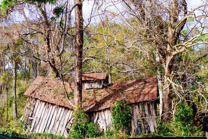 Destroyed Abandoned Wooden Structure Deep Inside a Forest Stock Photo ...